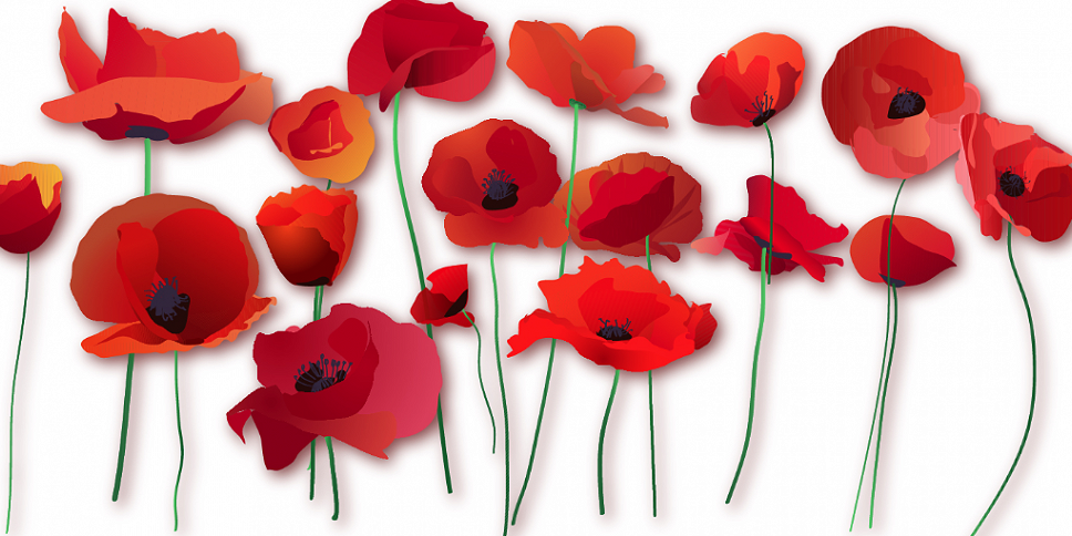 For the Love of Food | Cookaborough